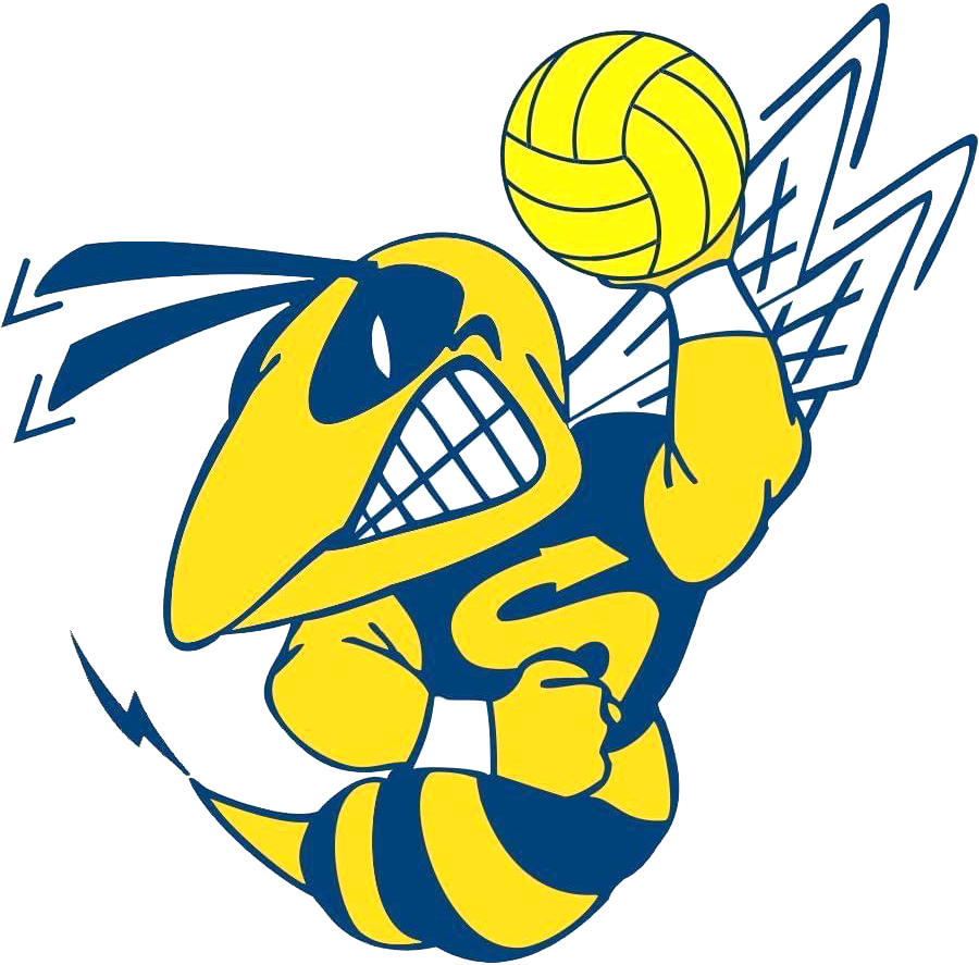 Saline Boys Water Polo – Q Team Store